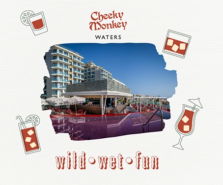 Cheeky Monkey Waters - AX Group
