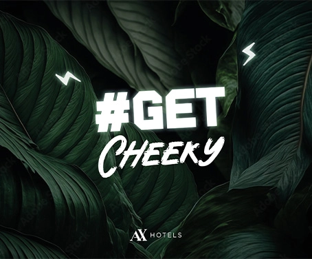 Cheeky Monkey - AX Group